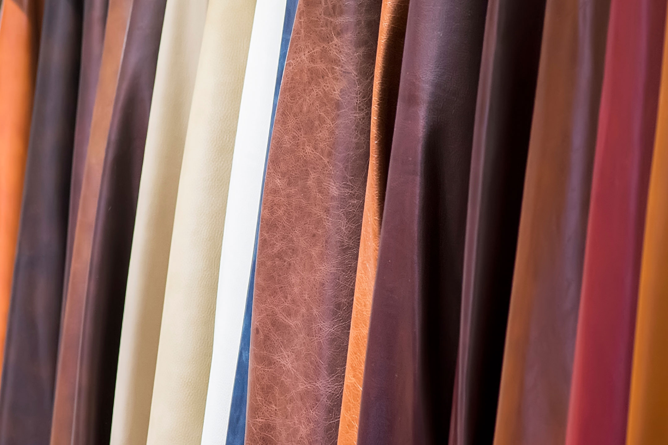 Hide Treatment | Cheetham Salt