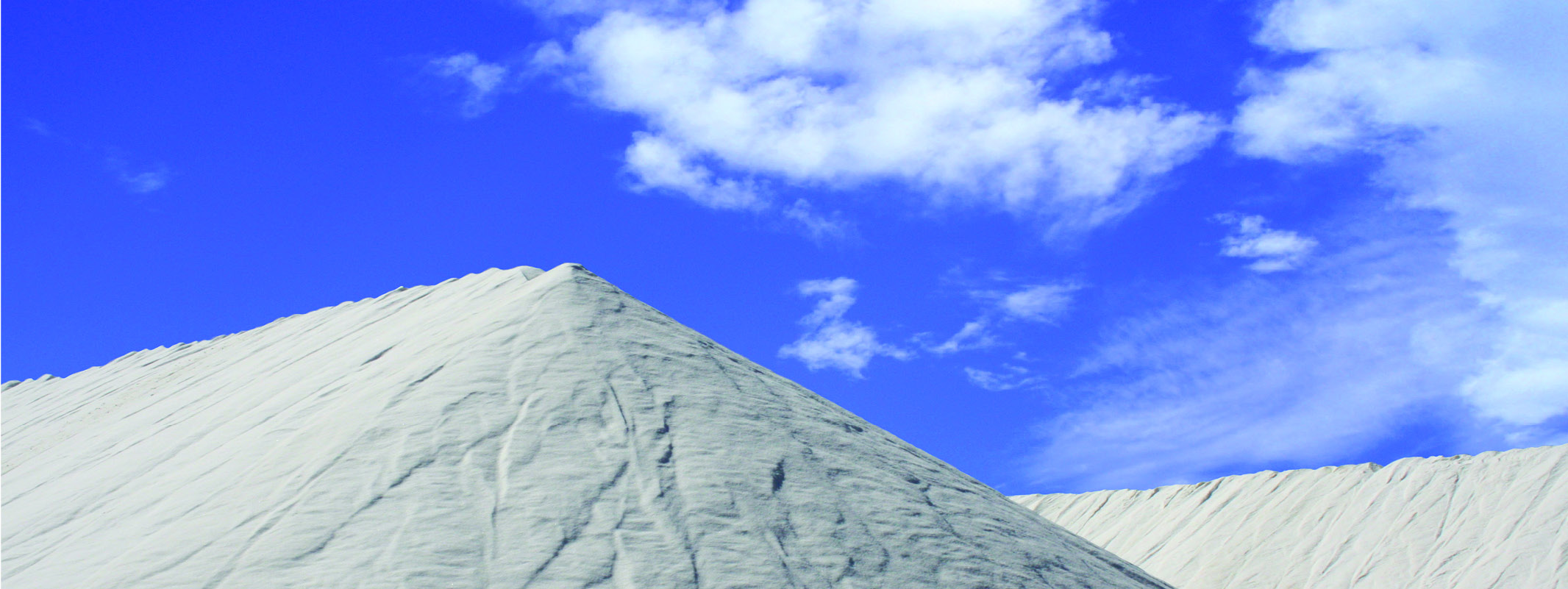 Salt is Essential | Cheetham Salt