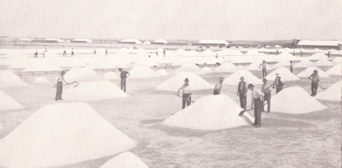 History | Cheetham Salt